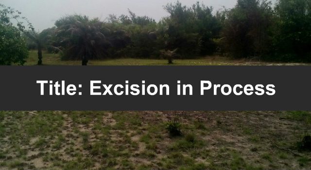 What Is An Excision? – Brimstone Real Estate